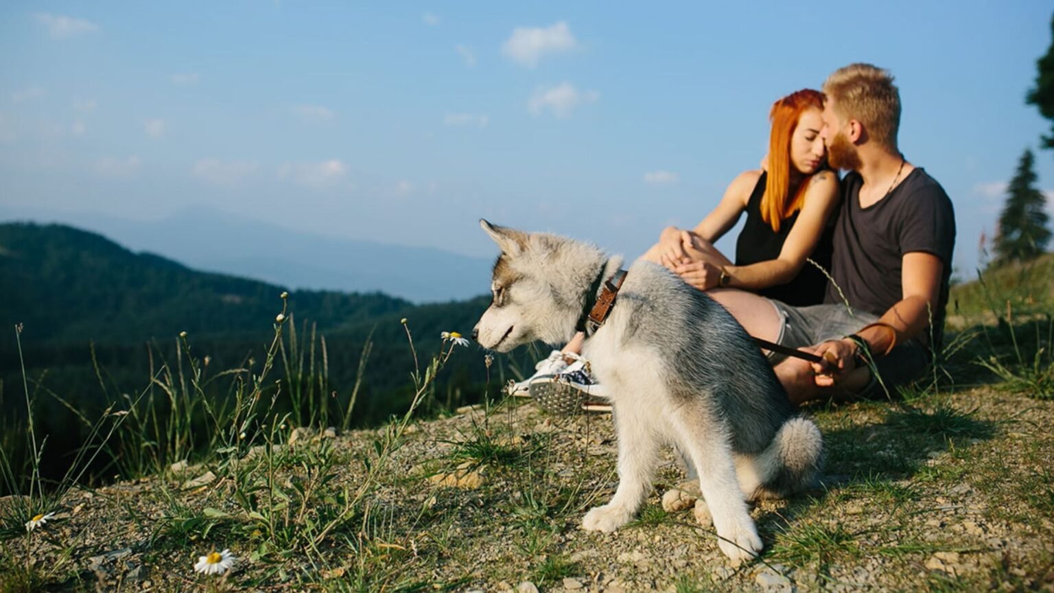 Best Pet-Friendly Travel Destinations